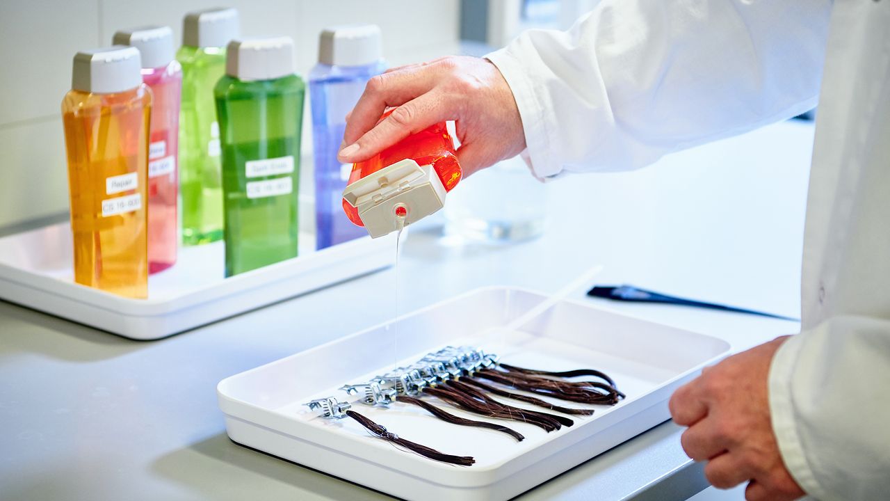 Henkel, L’Oréal, LVMH, Natura&Co, and Unilever create sustainable ...